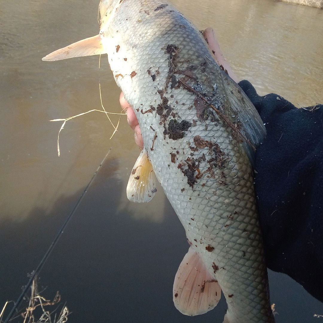 Charlie Price (@charlieprice) • Rap Fame - The Ultimate Rap App & Hip ...